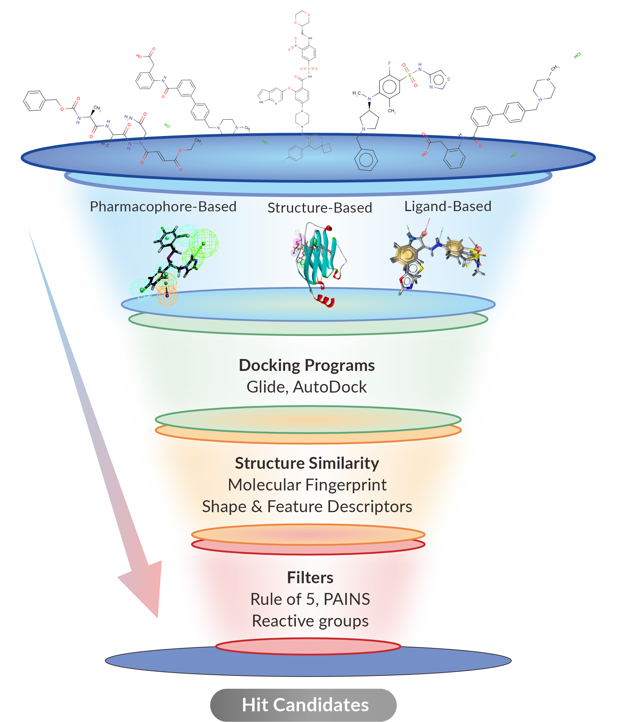 化合物活性筛选 | 药物筛选 | 计算机虚拟CADD | 药物研发 | TargetMol