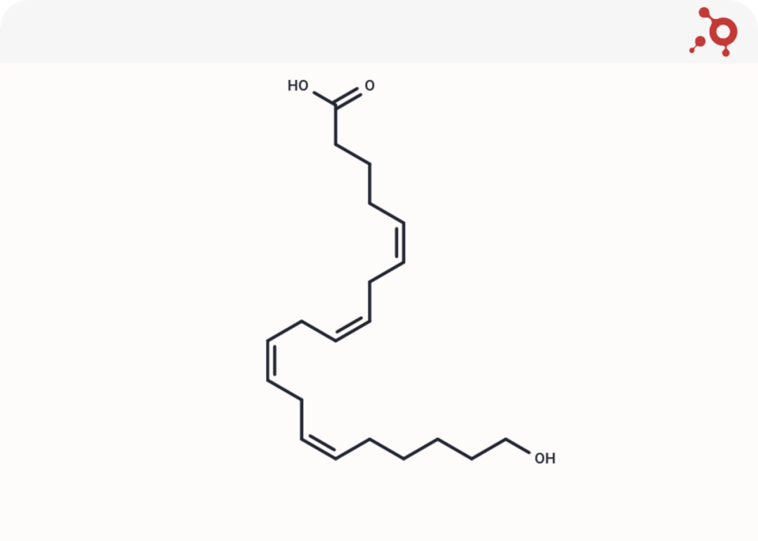 TargetMol明星分子—20-HETE 心脑血管|抗癌靶点|促血管生成