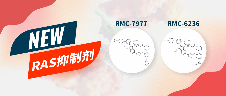 RAS抑制剂研发热潮！RMC-7977和RMC-6236抑制剂有望为RAS突变型肿瘤的治疗带来新希望