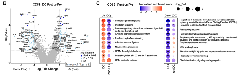 Bexmarilimab 单药即可有效控制多种癌症疾病 — TargetMol